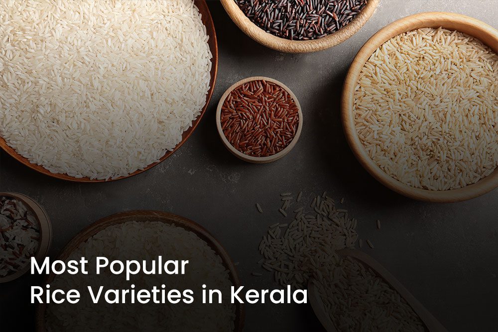 Most Popular Rice Varieties In Kerala Most Popular Rice Varieties In Kerala